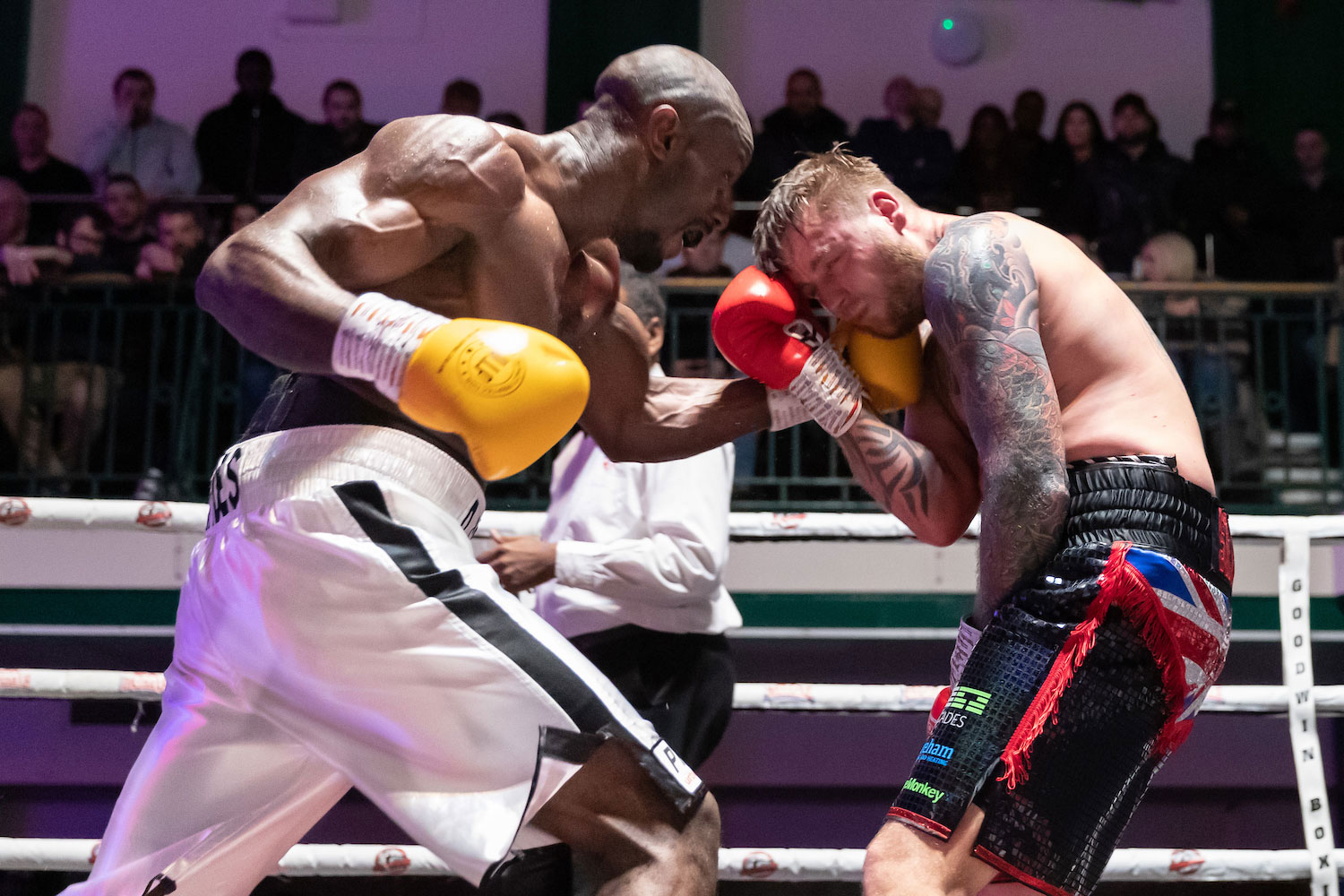 Gallery - Strive 85 - The Official Daniel Mendes Website